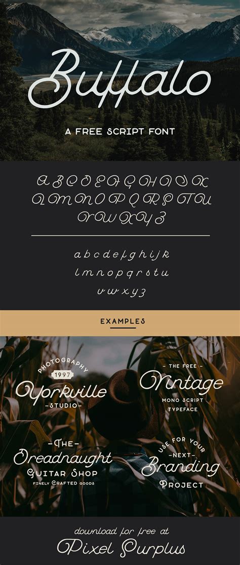 Buffalo Free Script Font On Behance