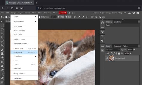 3 Ways To Quickly Resize An Image Without Photoshop