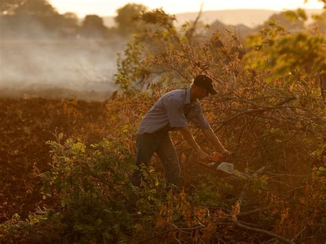 Los Menonitas Hacen Del Amazonas Su Hogar Edicion Abierta®