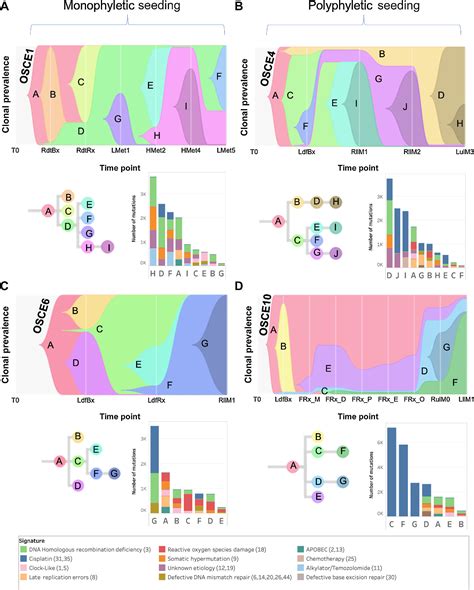 Figure 4 From Subclonal Somatic Copy Number Alterations Emerge And Dominate In Recurrent
