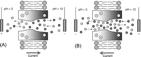 Schematic Representation Of The Bipolar Diode Effect In A Natural Ion
