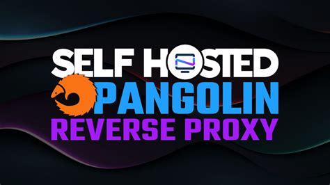Pangolin Easy Self Hosted Tunneled Reverse Proxy With Built In Auth Via Vps