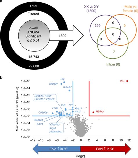 Sex Chromosome Complement Influences Hepatic Gene Expression Of Ldlr− −
