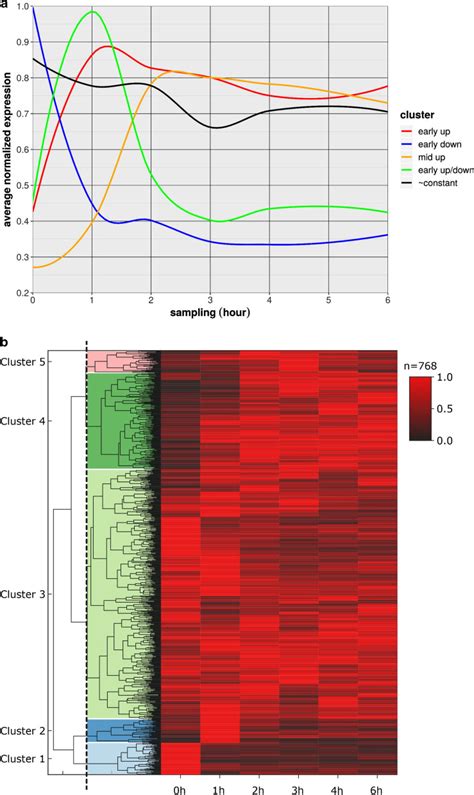 Time Course Transcriptome Analysis Of Host Cell Response To Poxvirus