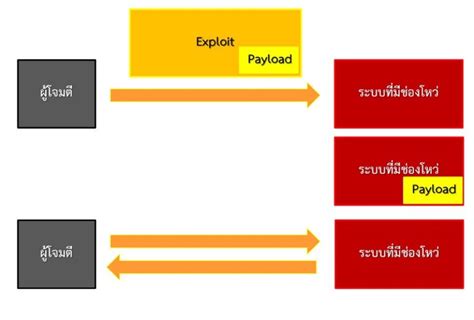 Exploit Vs Payload ต่างกันยังไง