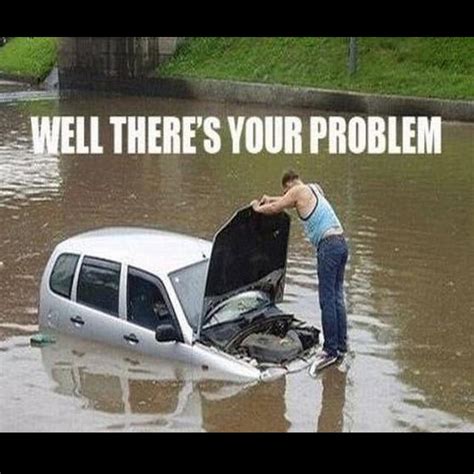 On The Road To Laughter The Most Memorable Car Memes Ever National