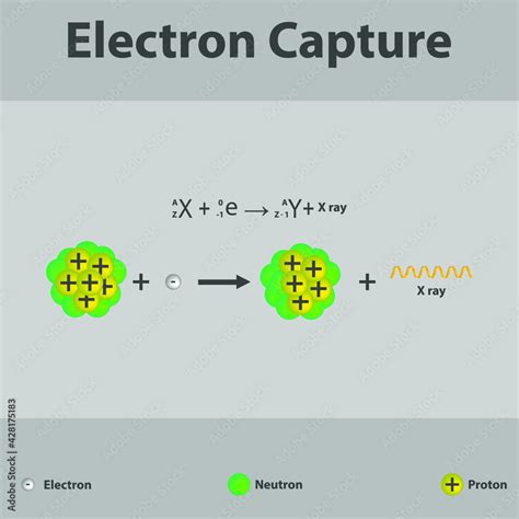Electron Capture X Ray At Benjamin Hutchison Blog
