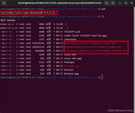 Cudacudnntensorrt 配置避坑指南cuda 和cudnn和tensorrt Csdn博客