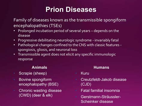 Prion Diseases Pptx