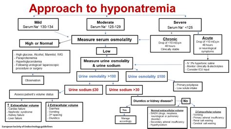 Algorithms Dr Mohsen Eledrisi