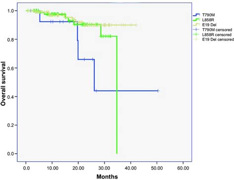 Overall Survival In Patients Harboring Different Kinds Of Egfr Mutation Download Scientific