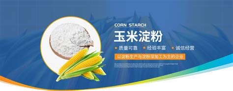 食用变性淀粉价格 食用变性淀粉 青州市北联淀粉有限公司
