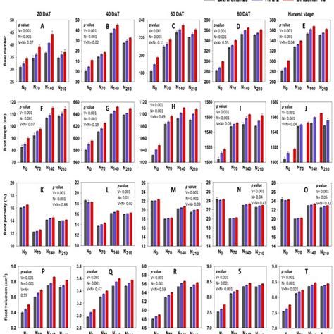 Dynamic Root Morphological Traits Of Three Rice Varieties Under Four N Download Scientific