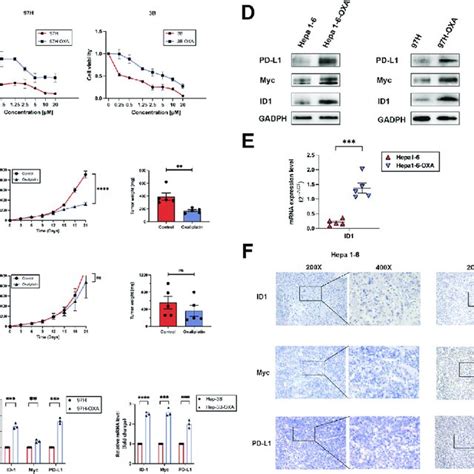 The Prognostic Values And Correlations Of Myc Pd L1 And Mdsc Markers