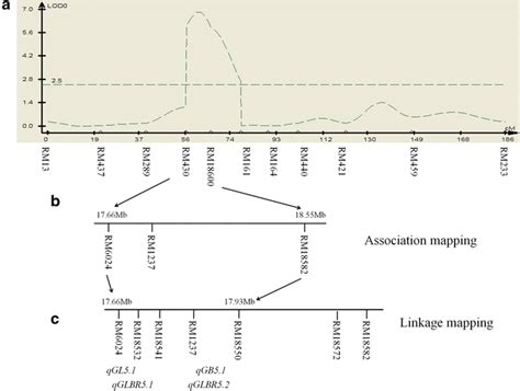 The Qtl Cartographer Picture Of The Grain Size Qtl A Sequential Fine Download Scientific