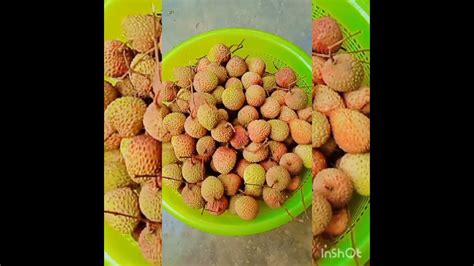 Lichu Lover😘 Youtube