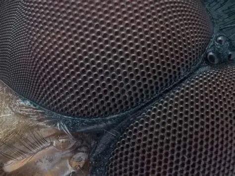 후방 검스 바니걸 엉덩이  유머 게시판