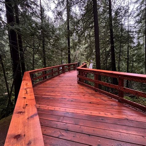 North Vancouver Suspension Bridge Reopens After Months Of Repairs
