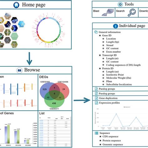 A Simple Chart Showing The Structure Of The Relational And Modules Of