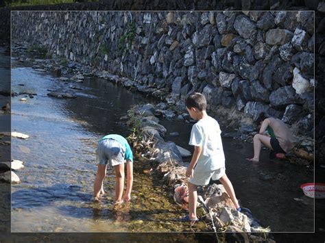 农村小溪捉鱼 农村捉鱼图片 农村小溪常见的鱼类 大山谷图库