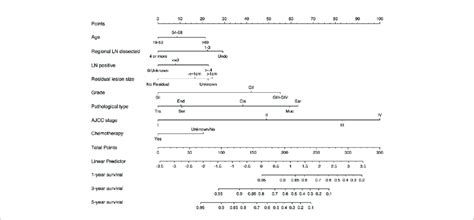 Nomogram For Predicting 1 3 And 5 Year Css In Adult Patients Who