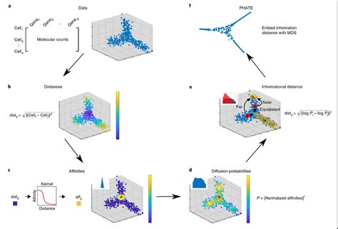 Moon Et Al Nature Biotechnology 2019 Visualizing Structure And Download Scientific Diagram