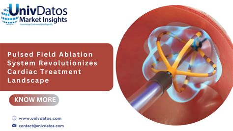 Revolutionizing Cardiac Ablation Pulsed Field Ablation Pfa System Market Set To Transform