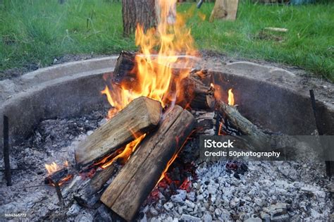 벽난로에서 나무를 태우고 있습니다 모닥불 위에서 소시지 굽기 친구들과 캠핑 여름 방학 노랑에 대한 스톡 사진 및 기타 이미지 Istock