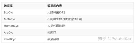 查询某一字段值的长度metacyc数据库学习笔记——简介及查询方法 Csdn博客