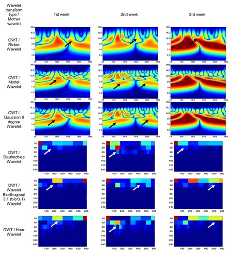 Wavelet Scalograms Of Scotopic 20 Erg Response In Rabbit Following