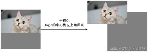 63tensorrt高级1 Yolov5模型导出、编译到推理（无封装）yolov5输出 Csdn博客