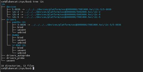 9 linux的设备模型 — [野火]嵌入式linux驱动开发实战指南——基于lubancat 全志系列板卡 文档