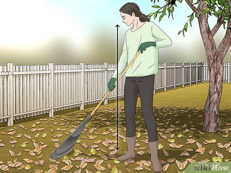 How To Draw A Leaf Rake