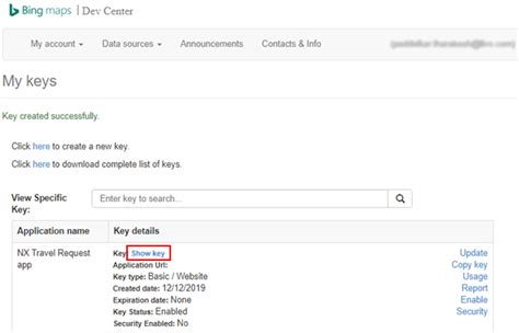 Example How To Get The Access Token Credentials From Bing Maps