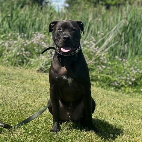 June Bug June Bugg • Threads Say More