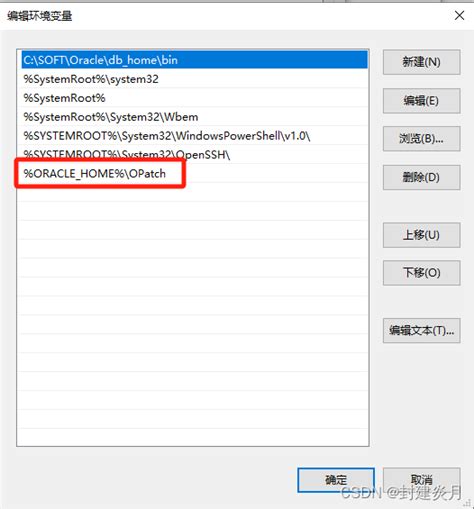window oracle19c 时区升级 oracle 19c 时区 42 csdn博客