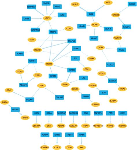 The Ligand Receptor Gene Pairs Identified In The Autocrine Network Of Download Scientific
