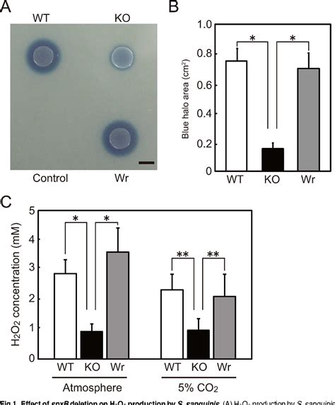 Figure 1 From Streptococcus Sanguinis Induces Neutrophil Cell Death By Production Of Hydrogen