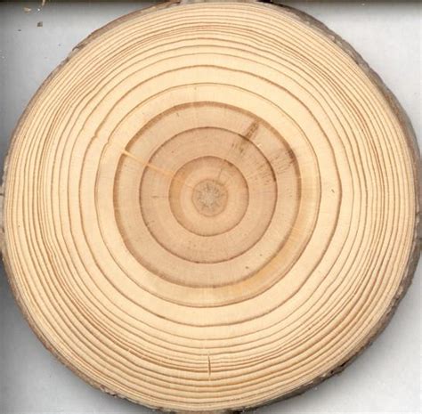 Image Processing Android Opencv Filter Canny Stack Overflow