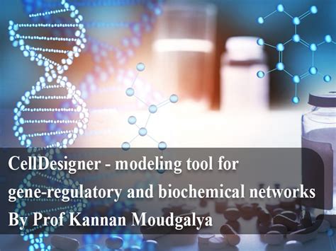Celldesigner Modeling Tool For Gene Regulatory And Biochemical