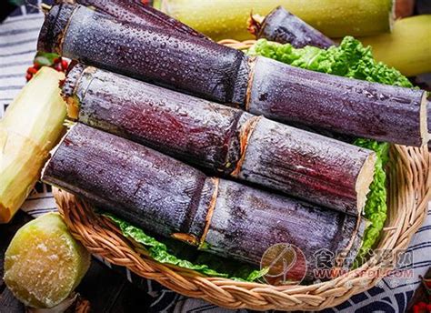 每天吃一根甘蔗多吗，每天吃甘蔗多少才合适 秒火食品代理网