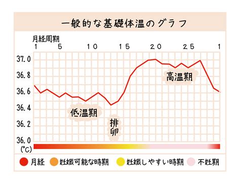 妊娠 した 時 基礎 体温