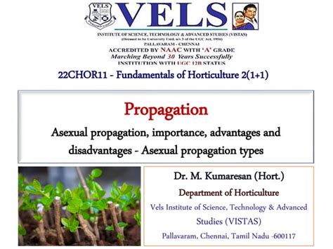 Asexual Propagation Importance Advantages And Disadvantages Pdf
