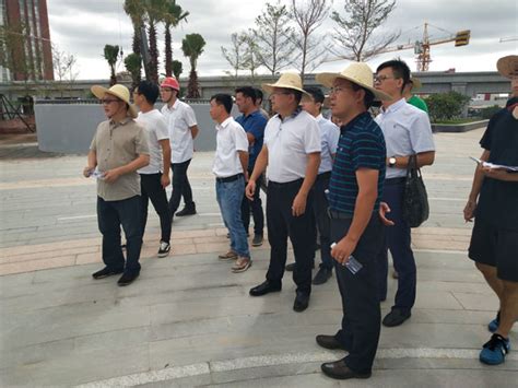 项目案例 厦门一中海沧校区