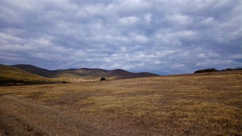 Портал за продажби на Национална агенция за приходите