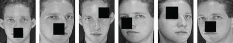 sample images a extended yaleb dataset b orl dataset with random