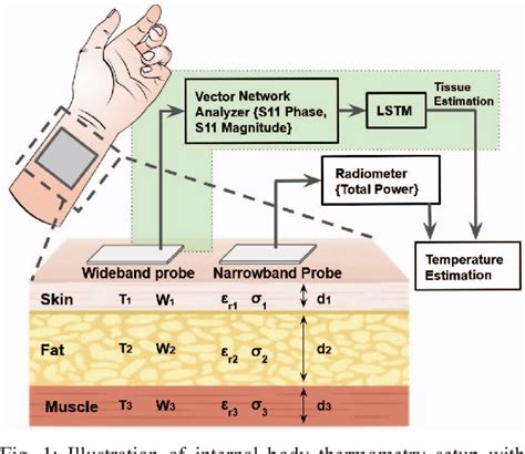 Figure From Neural Network Model For Tissue Thickness Estimation Semantic Scholar