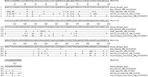 multiple sequence alignment of translated akr1b5 protein sequence