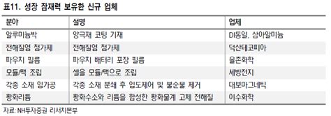 2차전지 성장 잠재력 보유한 신규 업체