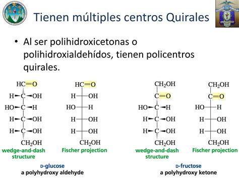 Ppt Carbohidratos Powerpoint Presentation Free Download Id3290374